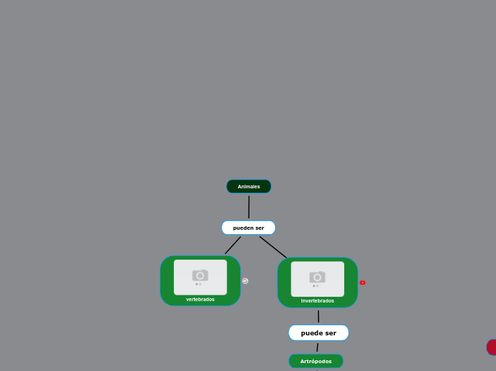caso practica 1 - Mind Map